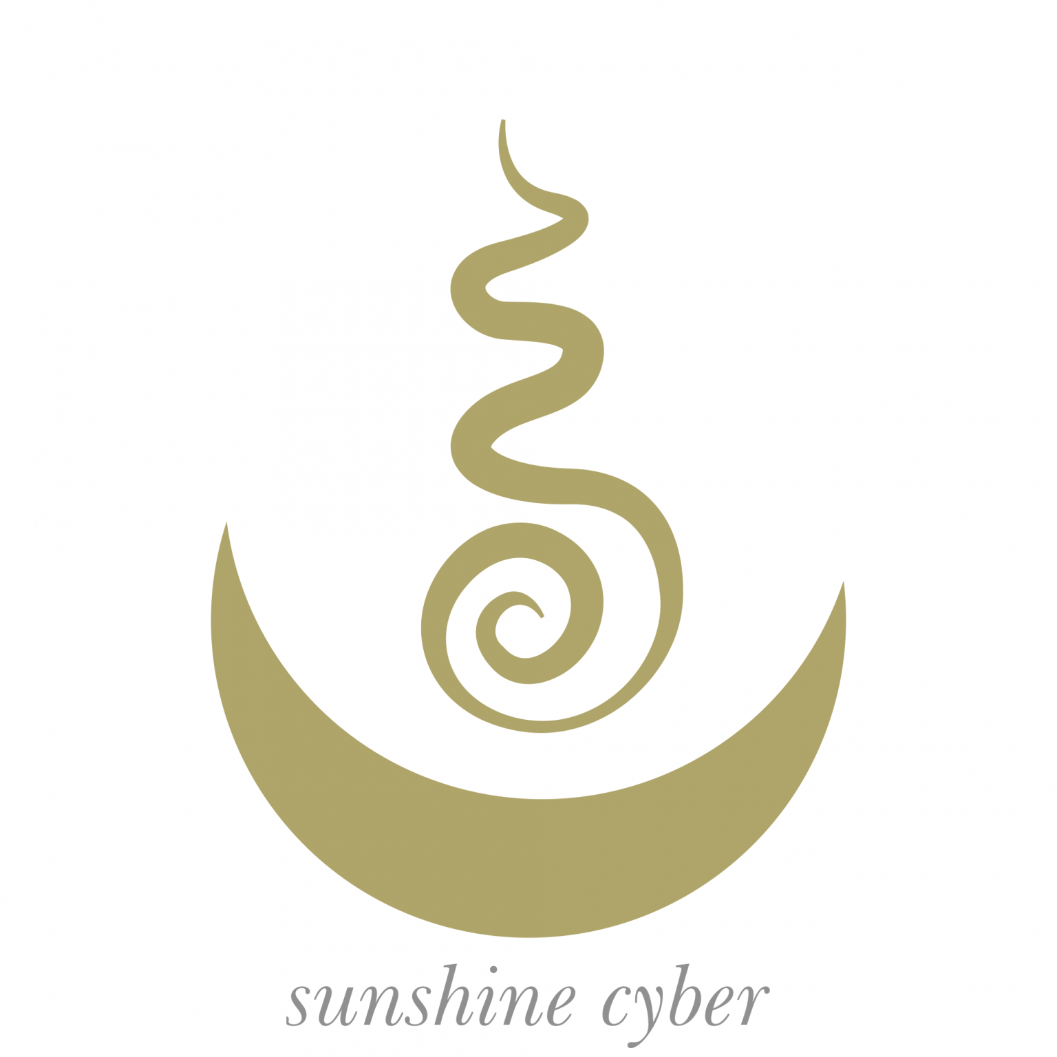 Sunshine Cyber - Australian ethical cyber services...